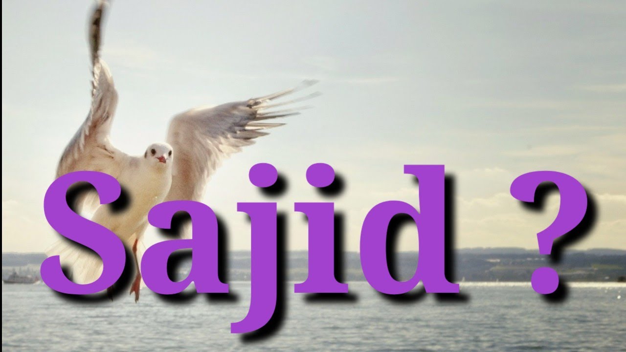 Sajid Name Ke Meaning | Sajid Name Status | Sajid Naam Ka WhatsApp ...