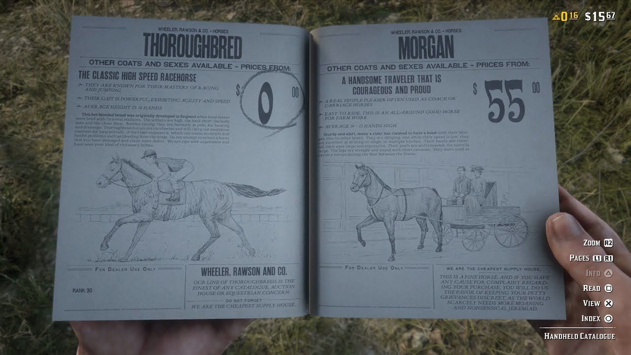 Ultimate Edition Bonuses : Red Dead Redemption 2 Online Gameplay Part 2 ...