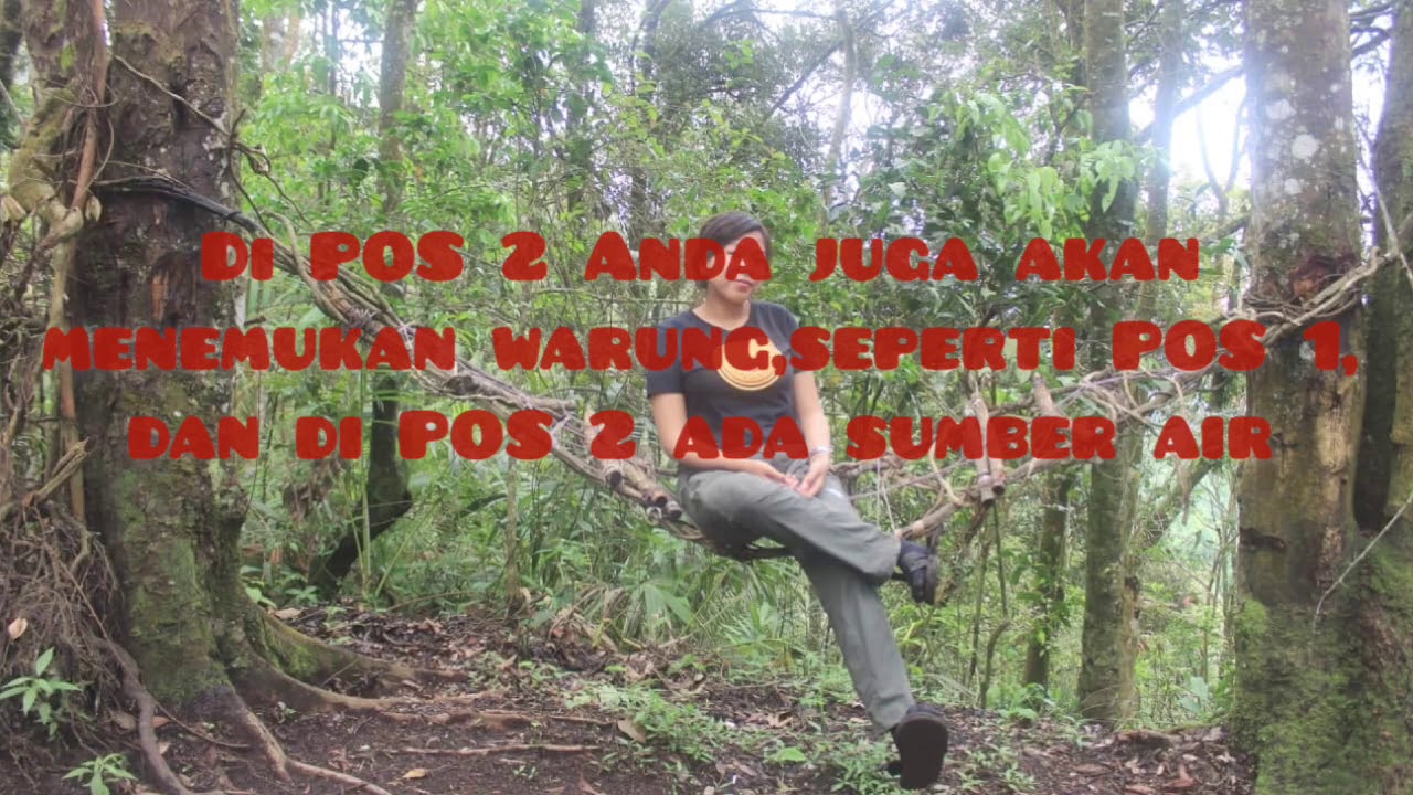 Tourist attraction ( Mount Sagara Garut) - YouTube