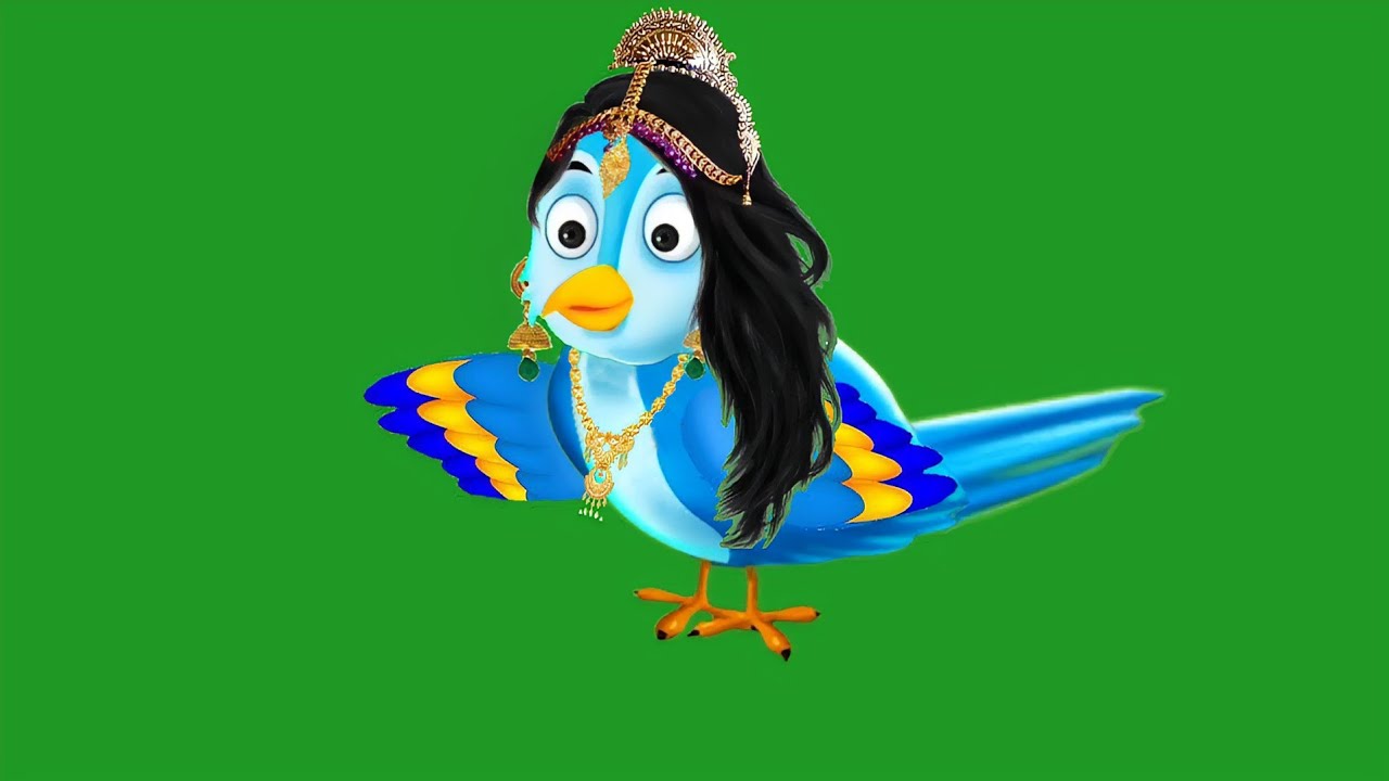 tuni chidiya Raj Kumari cartoon character green screen/bird green ...