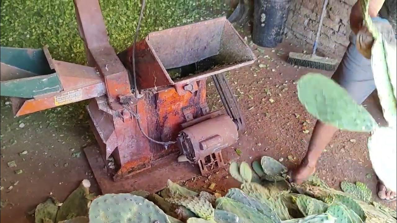 Fatiador de Palma Forrageira Laboremus MC1001N Motor 2cv - YouTube