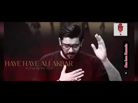 Haye Haye Ali Akbar || Mir Hasan Mir || kehti thi ye maa khoon bhari mayyat se lipat kar#mirhasanmir