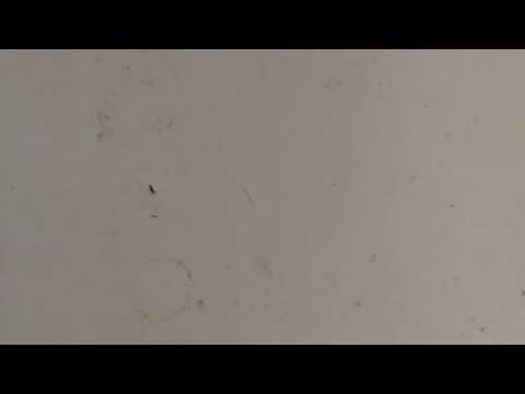 Happy Days Soundtrack- Happy Days - YouTube