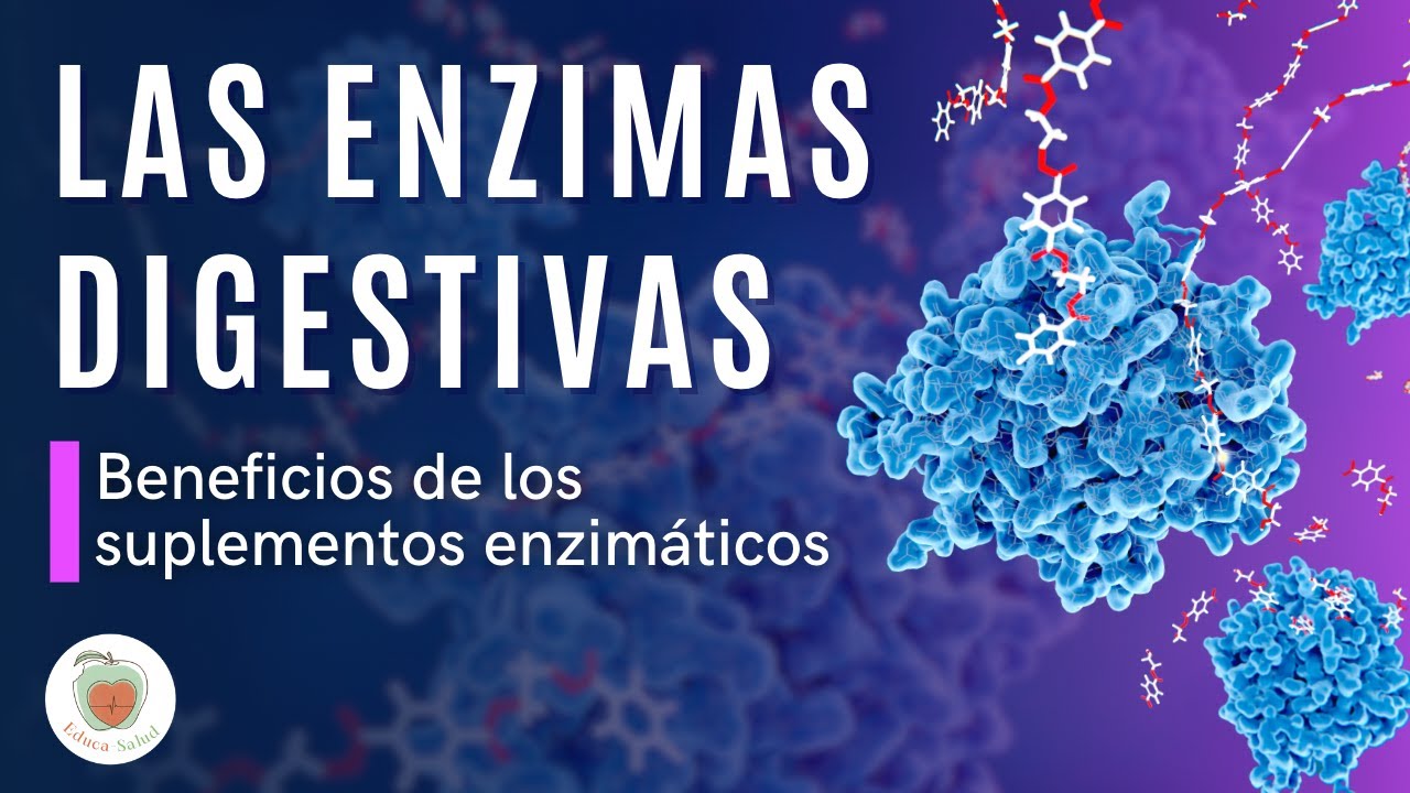 ENZIMAS DIGESTIVAS: Lo que necesitas saber - YouTube