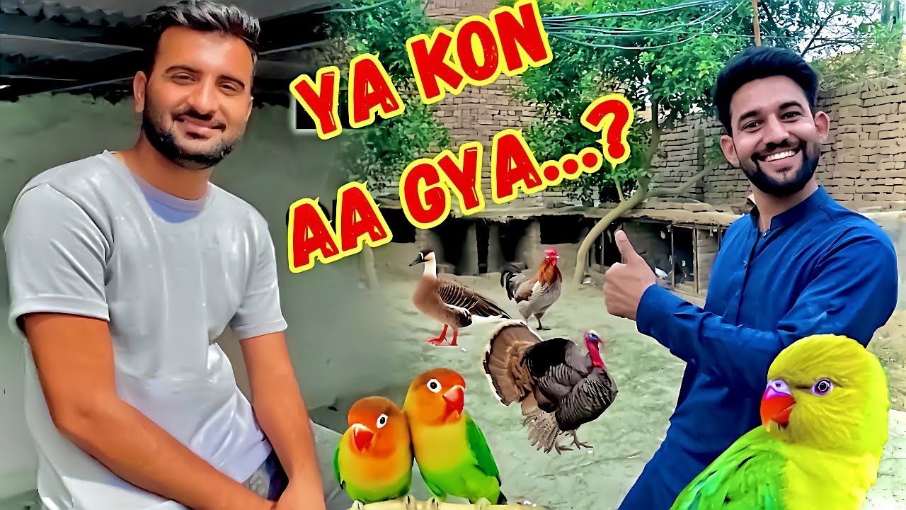 YA KON AA GYA …?||chota jungle vlog ||pets vlog Urdu ||shehr main dihat ||@shehrmaindihat 😍🥰🥰 ...