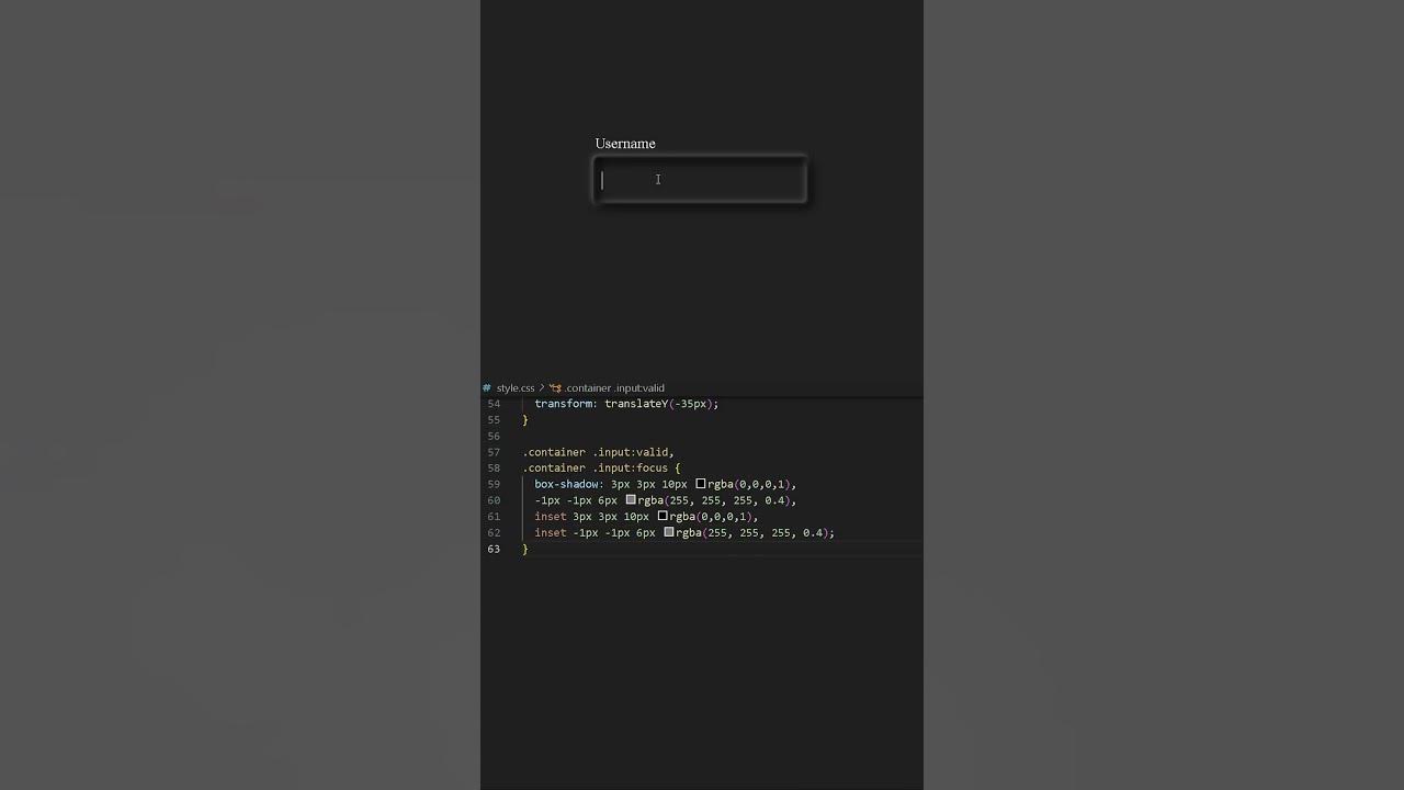 Animated Input in CSS😍#programming #coding #css #htmlcss #shorts #trending #html #animation # ...