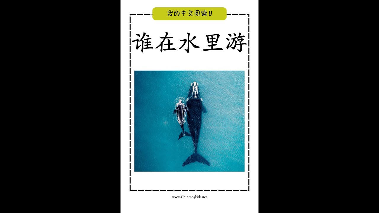 谁在水里游 Who Is Swimming in the Water - My Chinese Reading Book Level B # ...