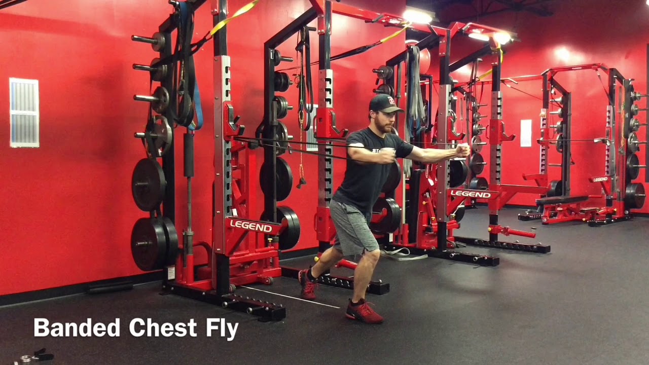 Banded Chest Fly - YouTube