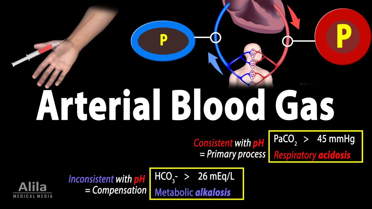 Arterial Blood Gas ABG Test Animation YouTube Arterial Blood Gas ABG Test Animation YouTube