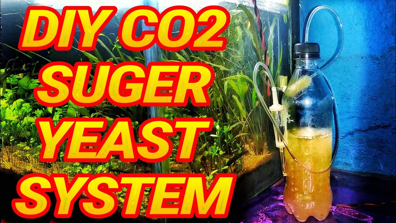 DIY CO2 system with bubble counter | 5 minute DIY | Aqua adventure ...