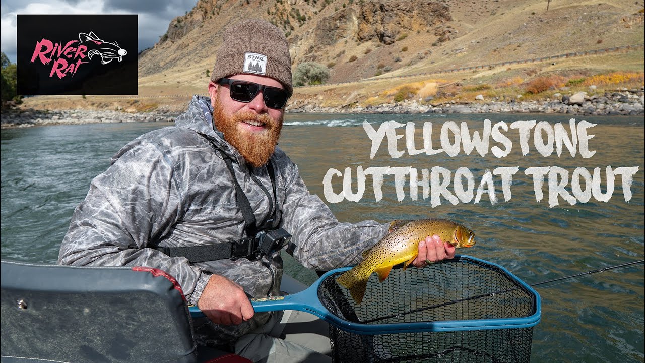 Insane Day of Streamer Fishing for Cutthroat! - YouTube