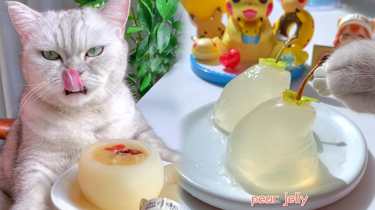 【Chef Cat ChangAn】When it's Cold, What Food Do You Like? | Stewed Pear ...