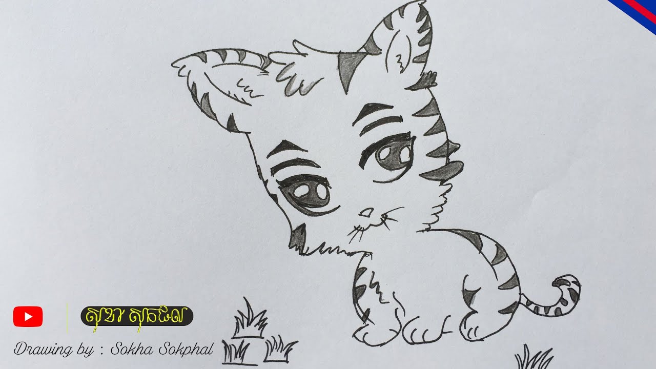 របៀបគូររូបខ្លាខ្ជូតៗ| How to draw tiger easy step by step | Drawing by Sokphal - YouTube