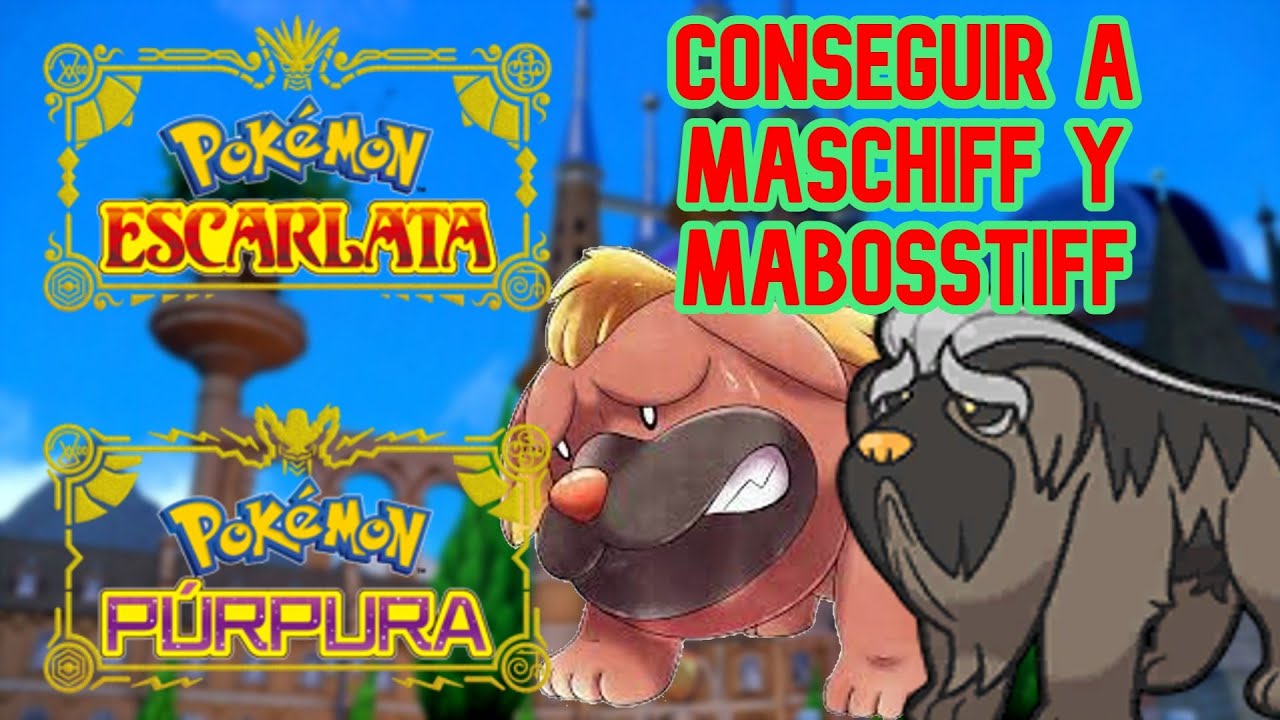 COMO CONSEGUIR A MASCHIFF Y MABOSSTIFF EN POKÉMON ESCARLATA Y PÚRPURA ...