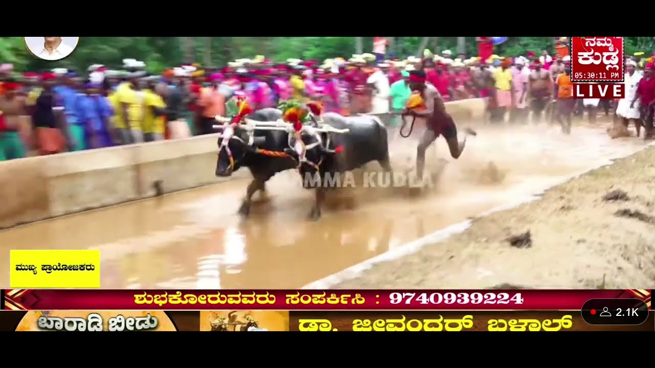 Nandalike Srikanth Bhat A, Balluda Malla #BaradiKambula - YouTube