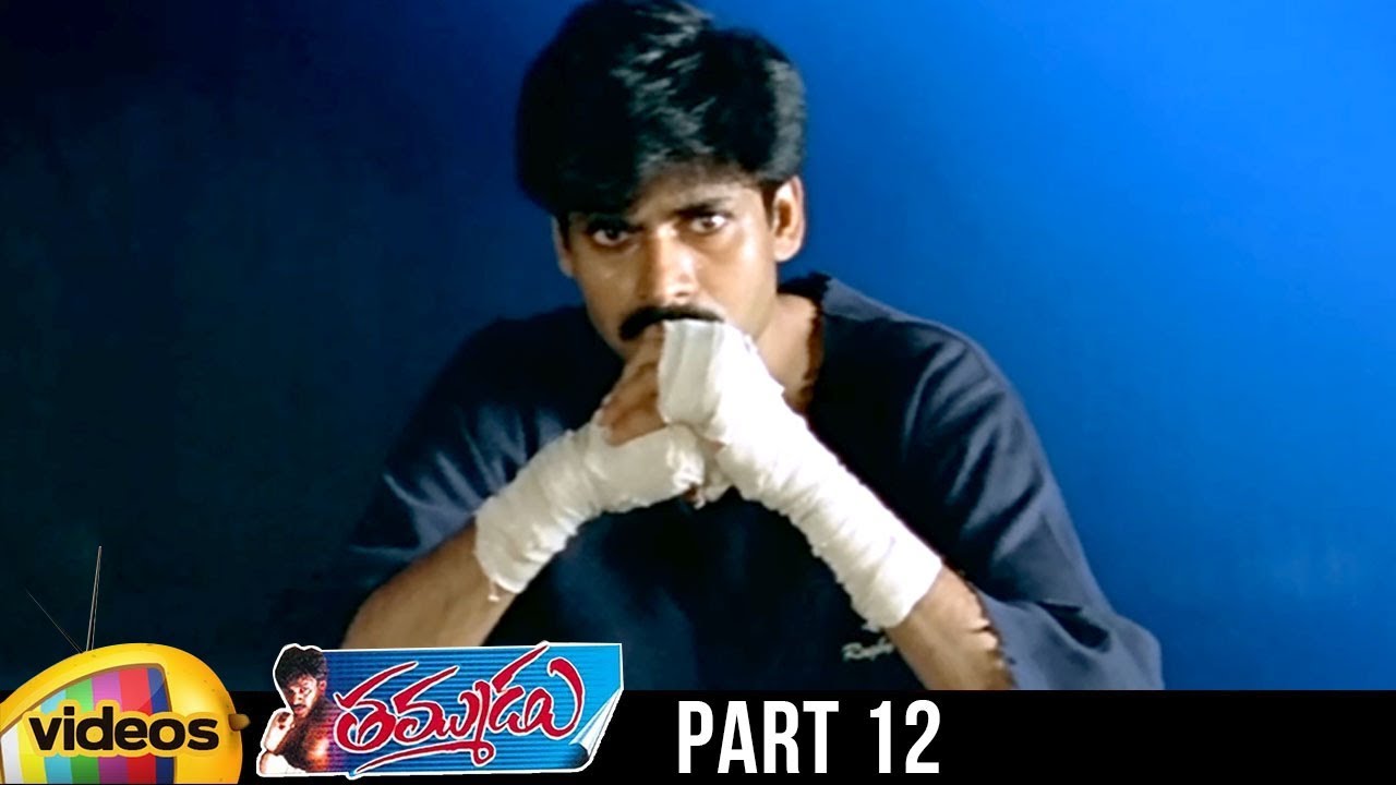 Pawankalyan In Thammudu
