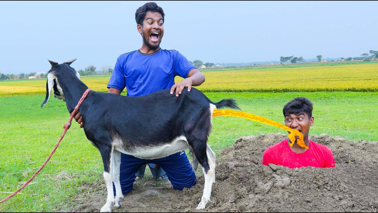 Very Special Trending Funny Comedy Video 😂Amazing Comedy Video Ep-378 ...