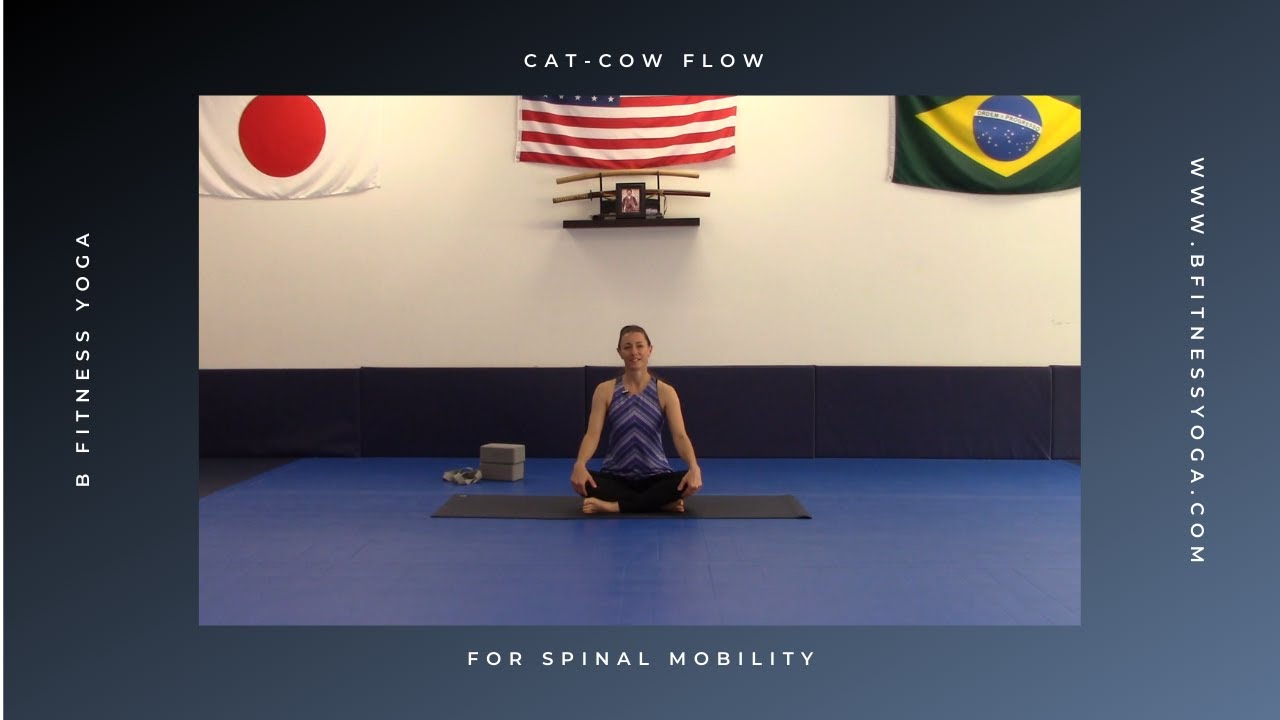 Cat-Cow Flow for Spinal Mobility - YouTube
