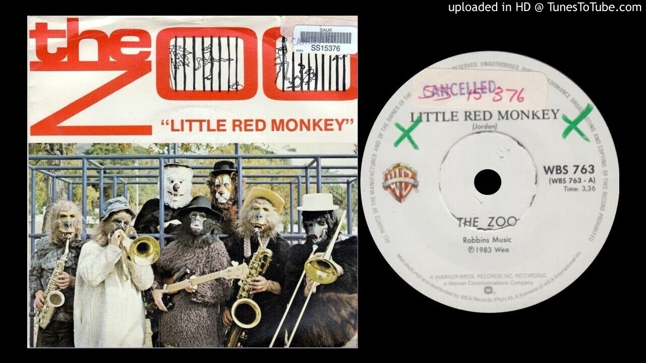 The Zoo - Little Red Monkey - YouTube