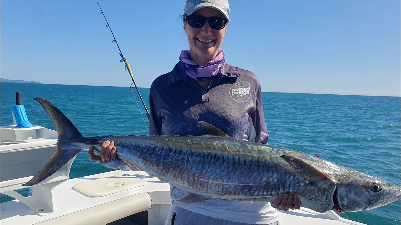Spanish Mackerel Townsvile NQ land down under - YouTube