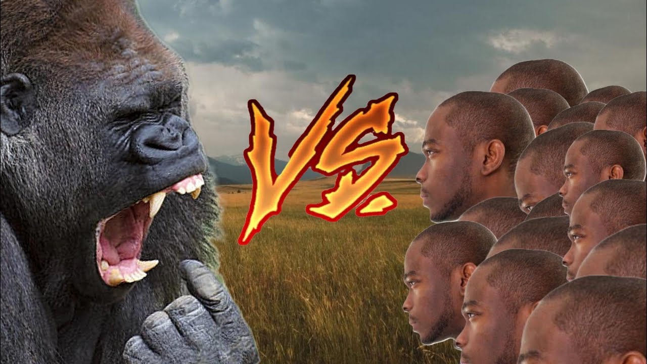 Humans always win - YouTube