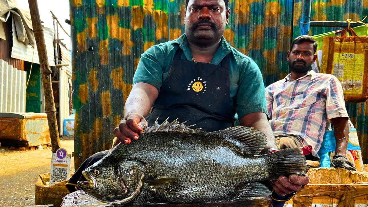 BLACK KODUVA FISH CUTTING BY SPEED SELVAM | HD VIDEO | IN KASIMEDU ...