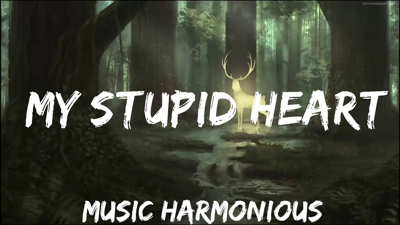 Walk off the Earth - My Stupid Heart (Lyrics) | Music is Lyrics - YouTube