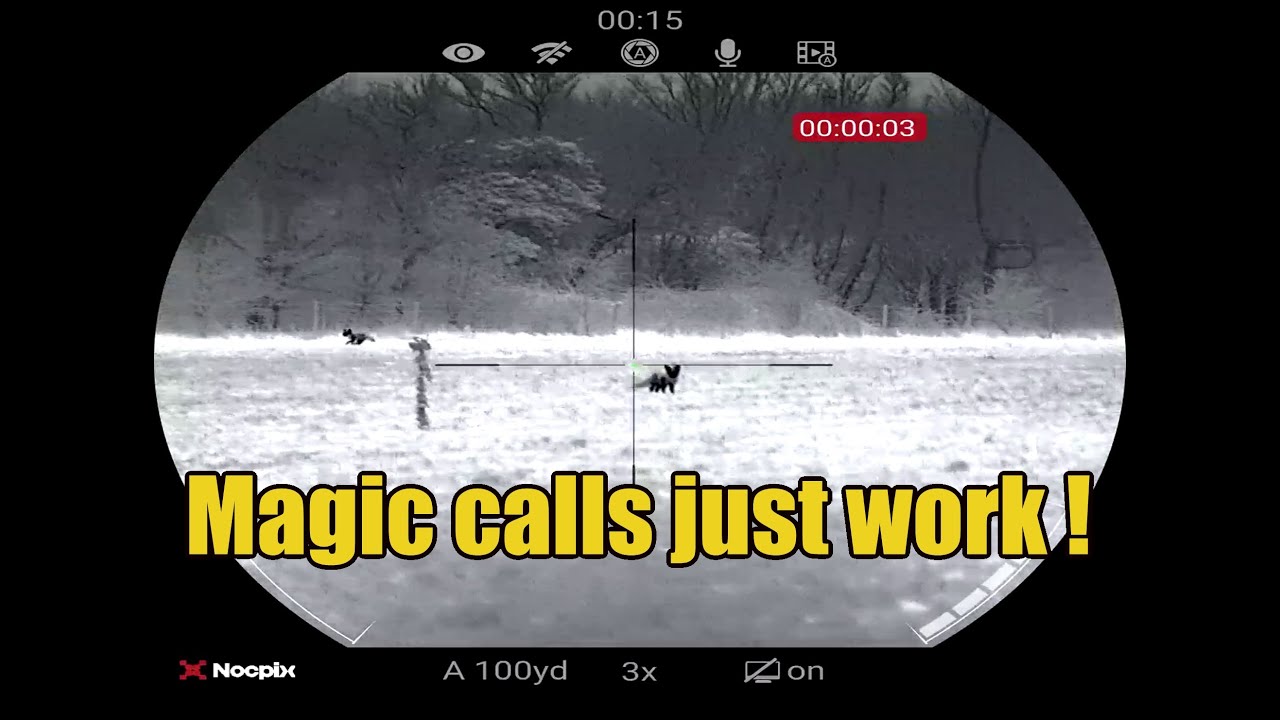 IT'S ALL ABOUT THE FOX CALL. - YouTube