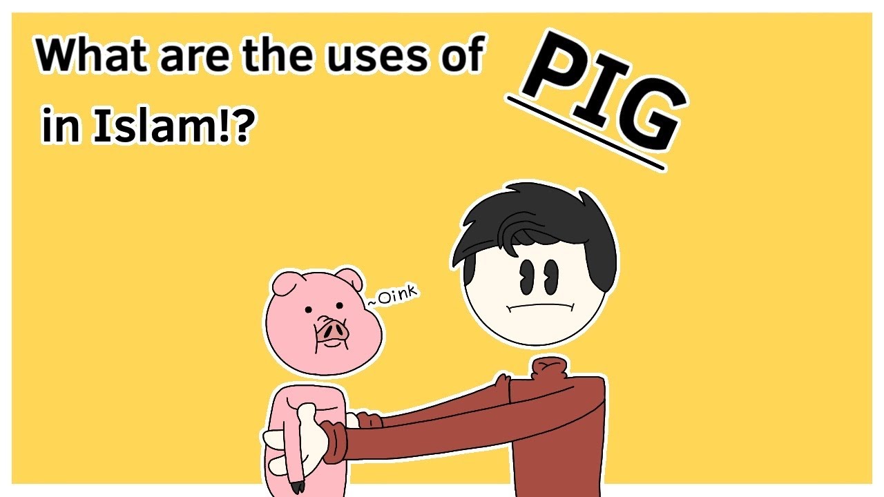 What are the uses of PIG in Islam!? | Hadi’s Islamic Studio - YouTube