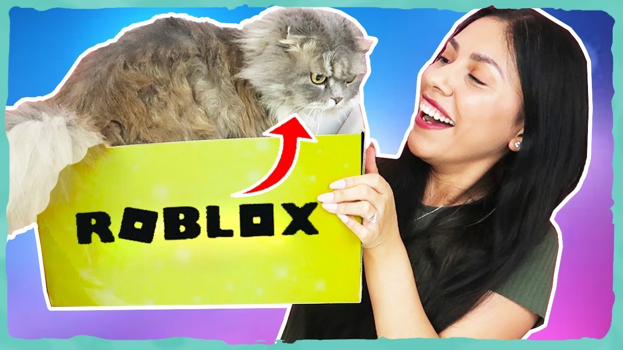 DID ROBLOX SEND ME A CAT OR WAS MY CAT TRYING TO STEAL MY TOYS?! - YouTube