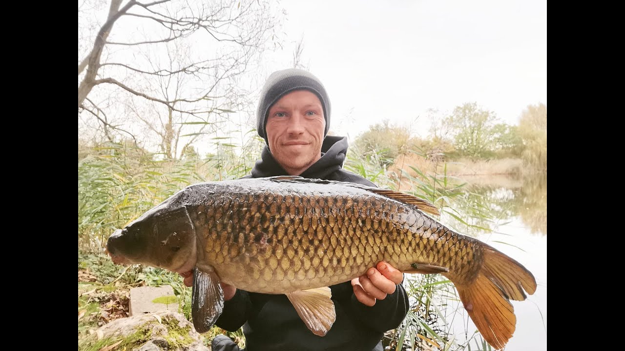 carp fishing, big lake to small lake, carp are carp, 3 different lakes ...