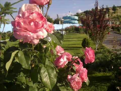 ezik.wmv arap ali türkü müzik evi,develi