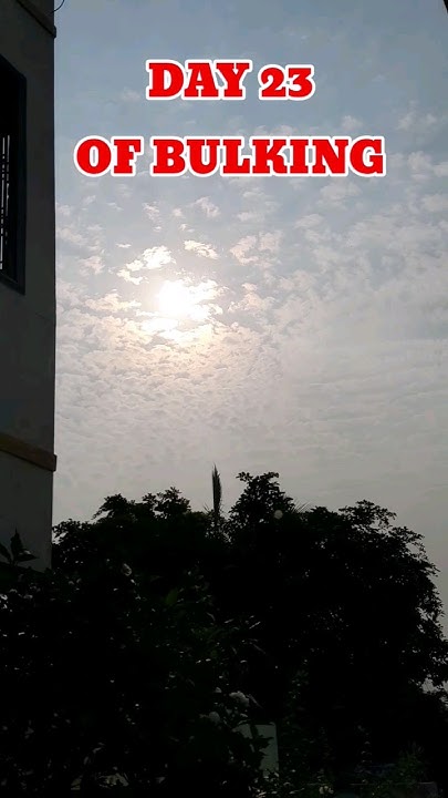 Day 23 of Bulking || #bulking || #fitness || #skinnytobulk||#day23||#trending ||#shorts - YouTube