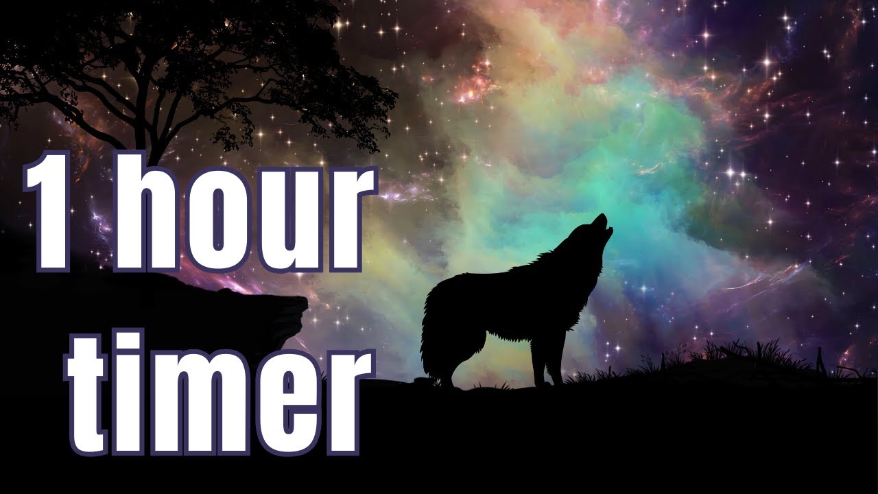 Howling Wolf Timer | No music w/ alarm | time stamped - YouTube