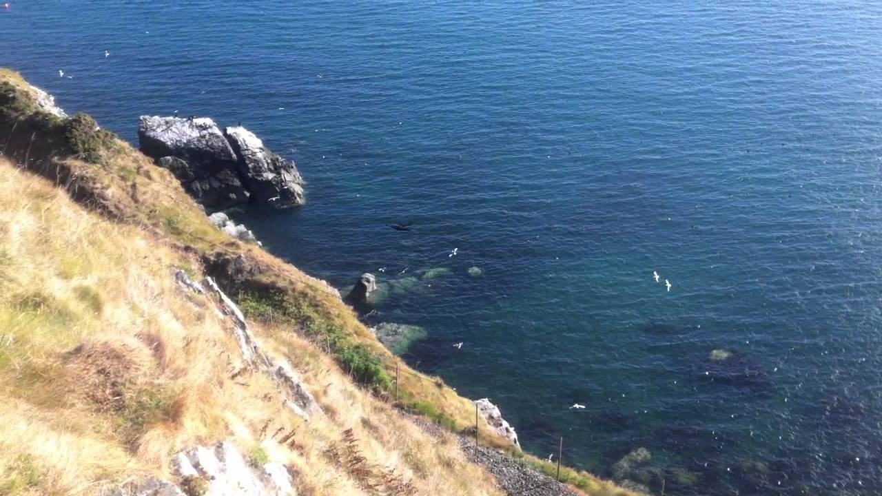 Cliff Walk, Bray Head, Co. Wicklow - YouTube