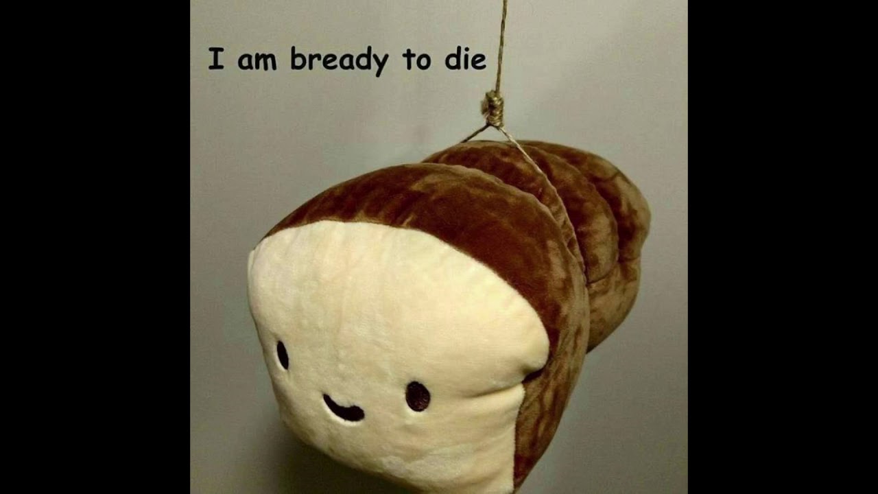 and everydays the same and everydays the same and everydays the same ...