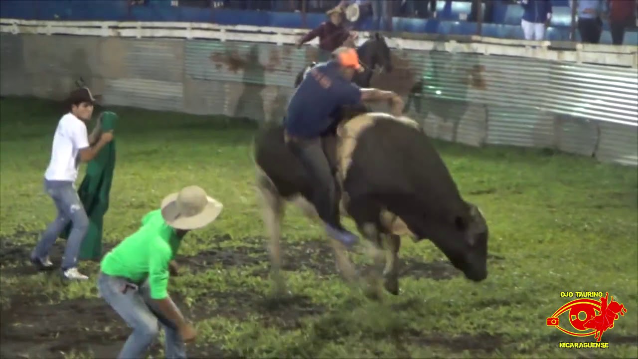 Las Mejores Montas De Toros de Nicaragua - YouTube