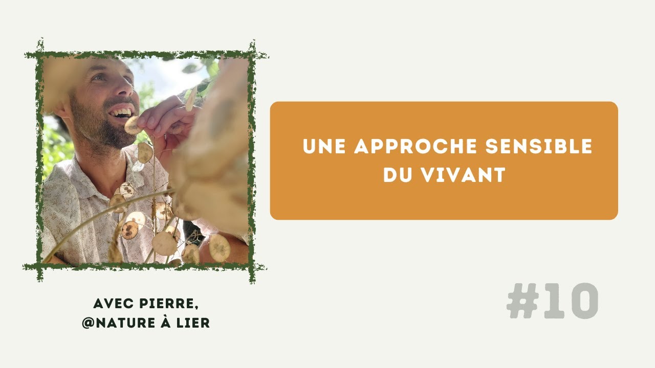#10 Une approche sensible du vivant - Avec Pierre (Nature à lier) - YouTube