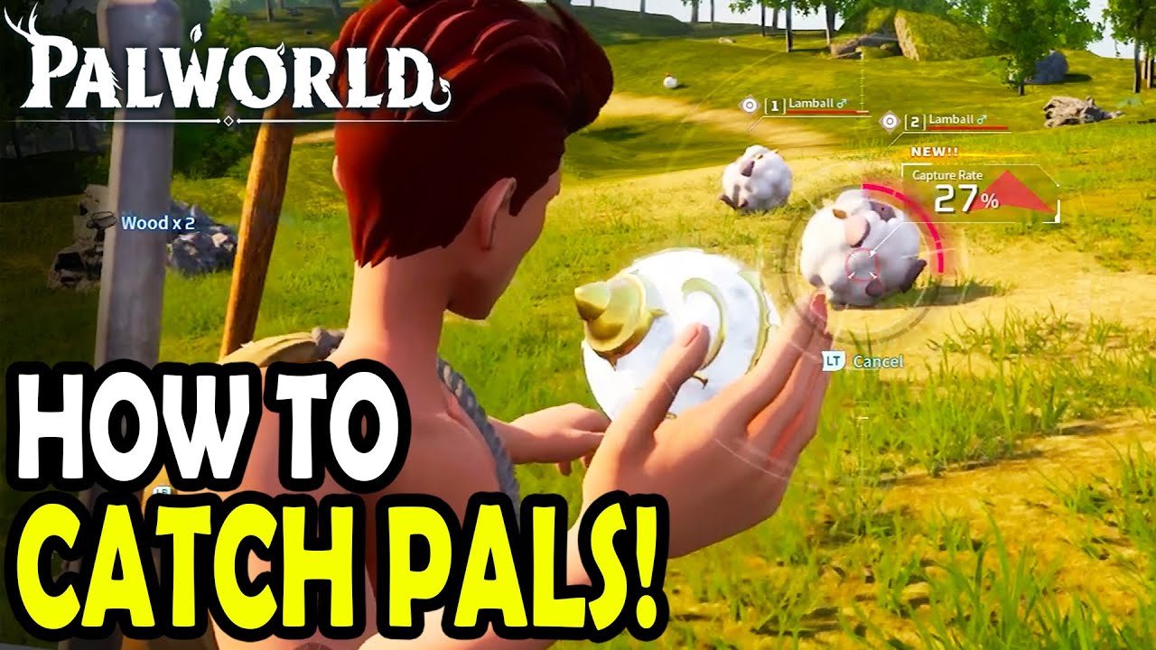 How to Catch Pals in Palworld - YouTube