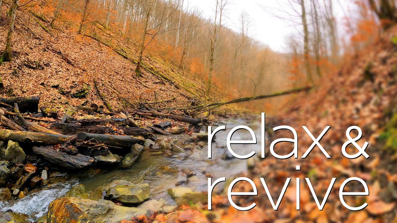 Relax beside a gentle stream - (ASMR - Ambient - Relaxing - Sleep ...