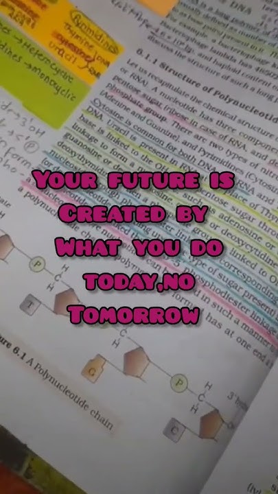 #motivation #study #minivlog #ytshorts #trend... - YouTube