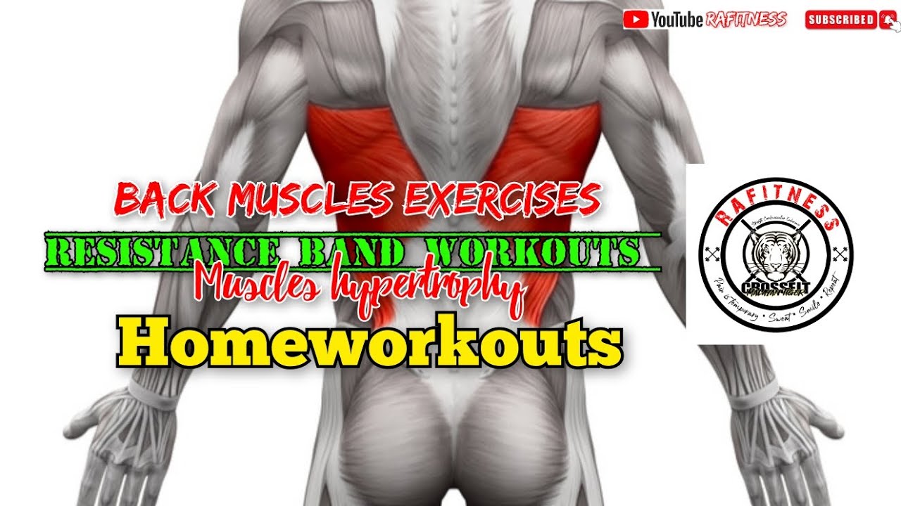 Bina otot belakang tanpa perlu ke gym ️ Senaman Otot Belakang/Back ...