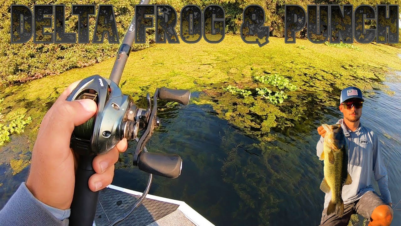 Ca Delta Frog and Punch Fishing | lost 25 pound in 20 minutes | delta ...