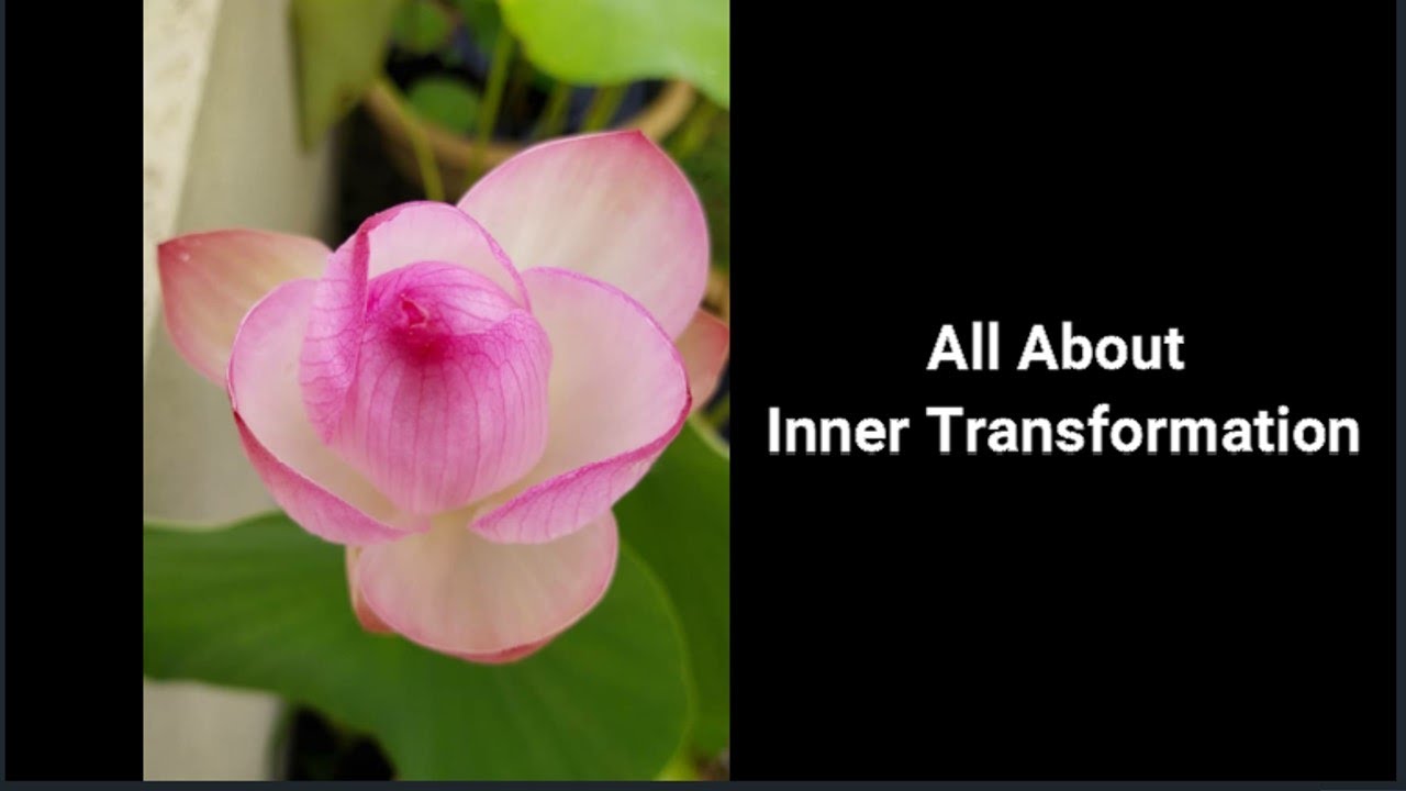 All About Inner Transformation - YouTube