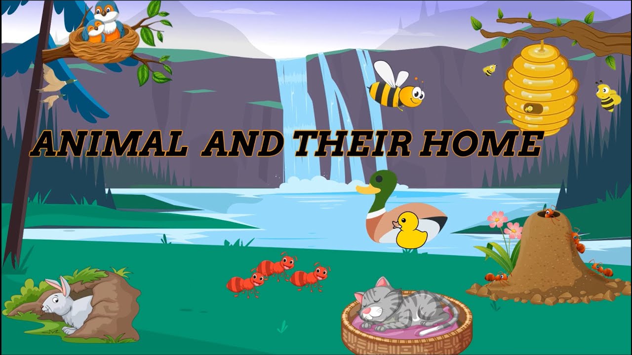 Animal homes | Name of animal homes in simple English | For kids and ...