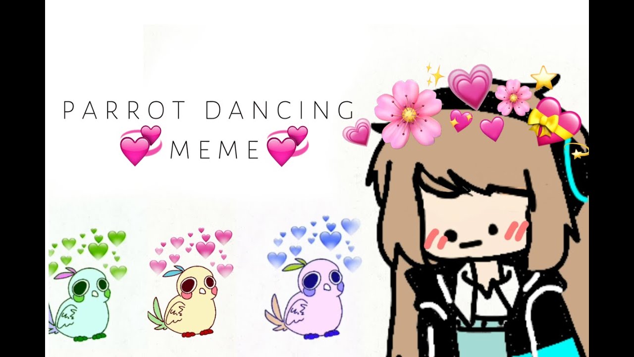 parrot dancing meme💕☻ - YouTube