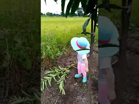 Mi sobrina cogiendo mariposas.