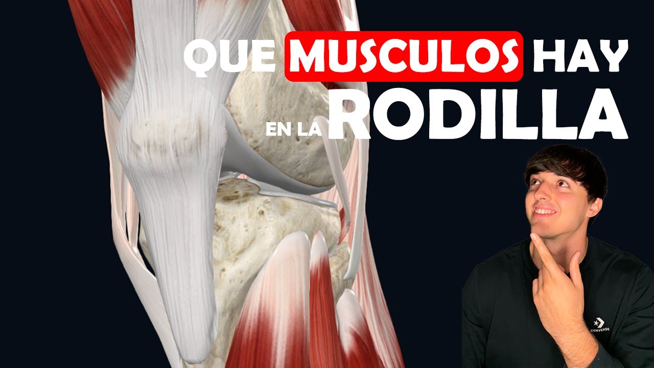 QUE MUSCULOS HAY EN LA RODILLA - Ep.14 - YouTube