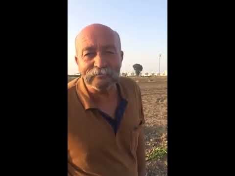 Müslüman Analiz Yapan Aşırı Samimi Dayı