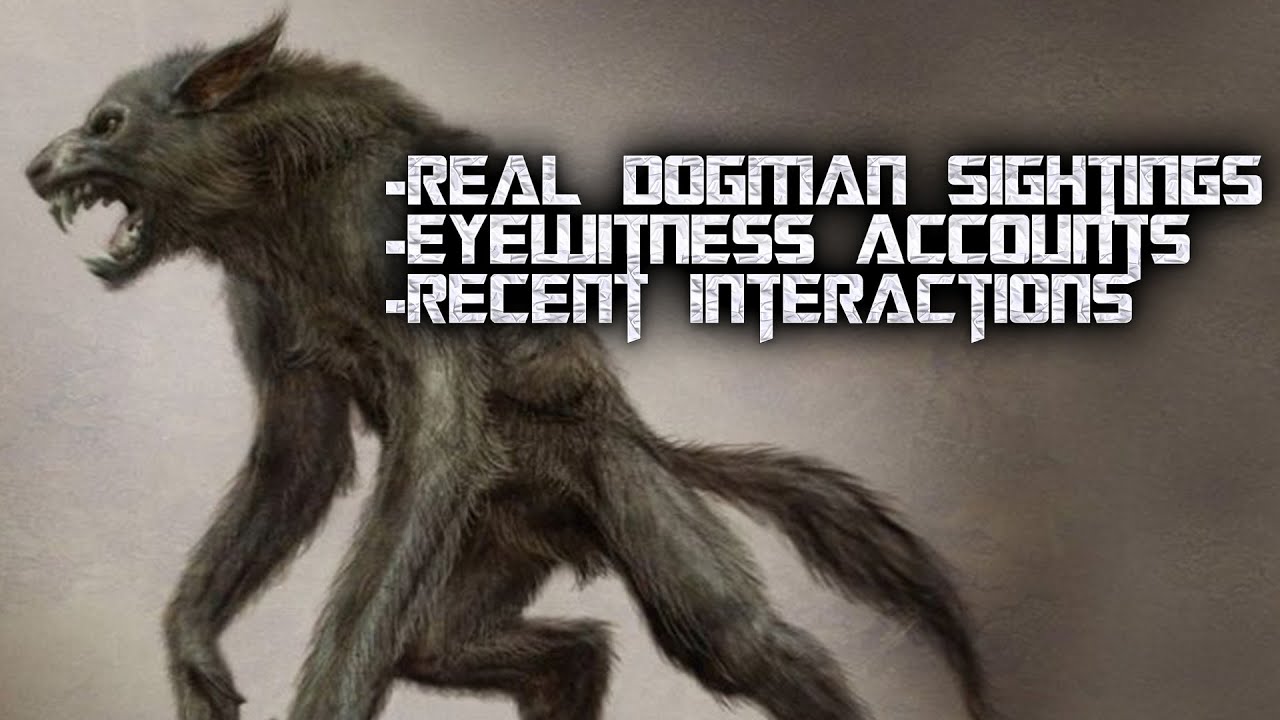 13 Year Old Girl SHOCKED by DOGMAN SIGHTING | Chilling Tales - YouTube
